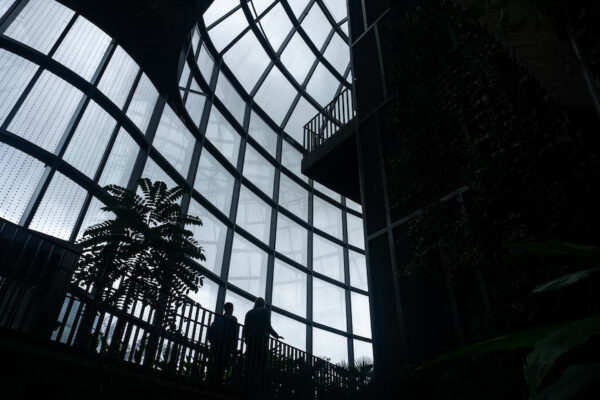 Concevoir une façade bioclimatique : microclimat